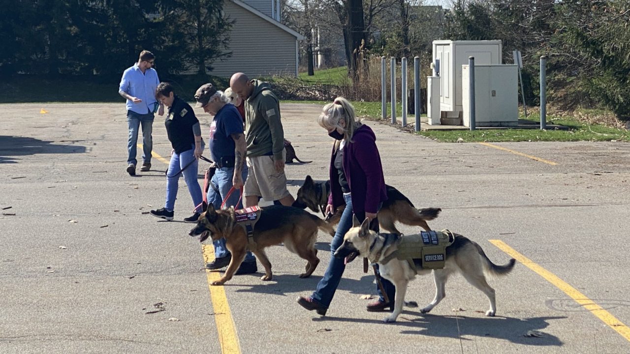 Pawsitive for Heroes | WNY Heroes